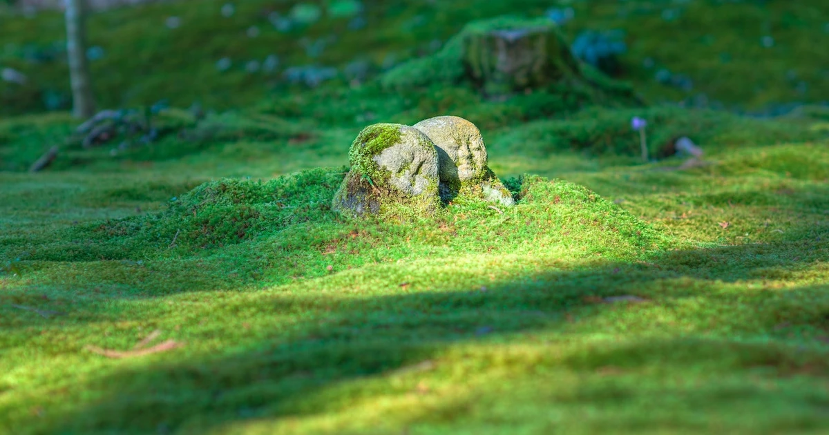 The History Of Vernacular Architecture - Preserving The Cultural Heritage